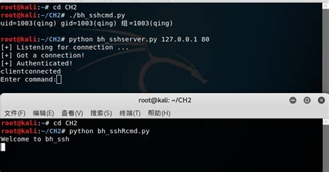 2017 2018 2 20179204 python黑帽子 黑客与渗透测试编程之道 csdn博客