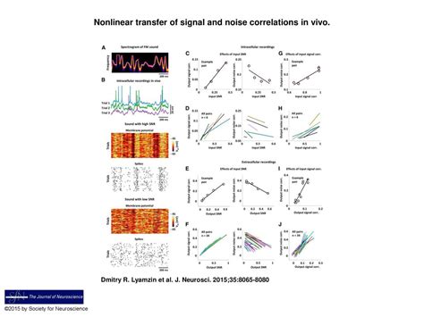 nonlinear transfer of signal and noise correlations in vivo ppt download