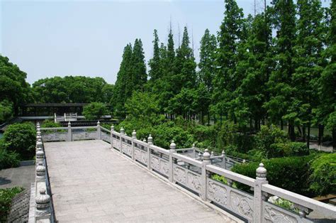 亭林亭林园亭林中学大山谷图库