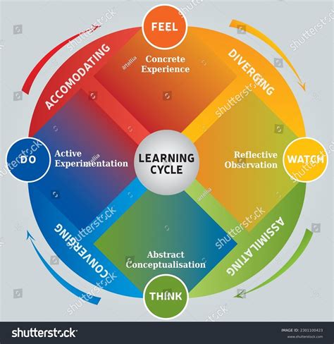 Kolbs Learning Cycle Diagram 4 Steps Stock Vector Royalty Free