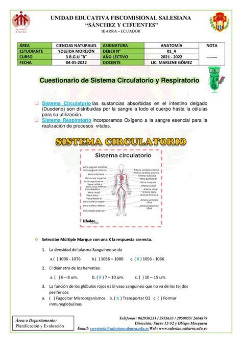 Anatomia De Segundo Quimestre Dos Apuntes De Anatomía Aplicada Docsity