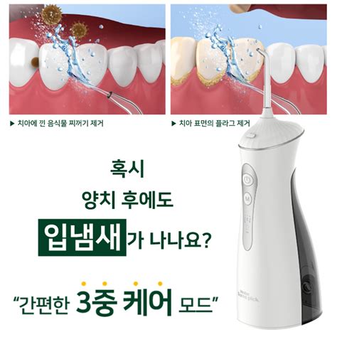 음식물 찌꺼기와 플라그 제거 워터 테라픽 구강세정기 Wtp03 입냄새 교정 임플란트 부정교 홈플러스 택배배송