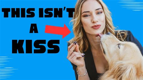 Dog Licking Explained Its Not What You Think Youtube