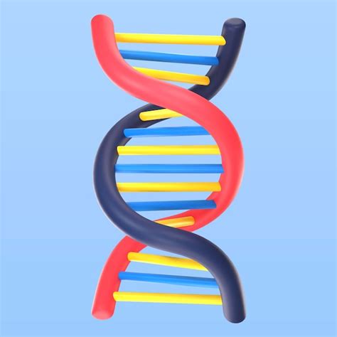 Psd De Cromosomas Espiral Estructura Adn 4 000 Plantillas Psd