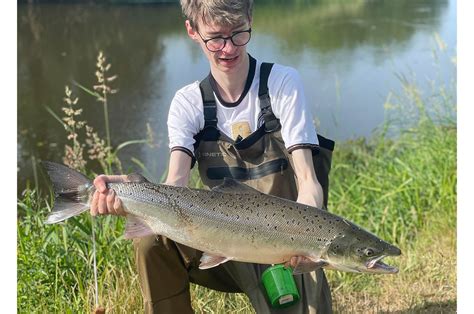 KINETIC FISKECUP EN SMUK LAKS FRA SKJERN Å Fisk Fri