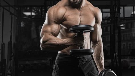 5 Best Compound Bicep Exercises Stayfit Knowledge