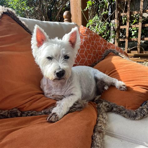 งมงาย 2019 พระสีวลี รายละเอียด พระมหาสาวกองค์สำคัญในสมัยพุทธกาล ที่พระพุทธเจ้าทรงยกย่องให้