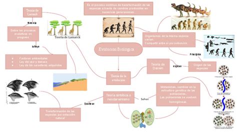Evolución Pdf Evolución Conceptos Biologicos