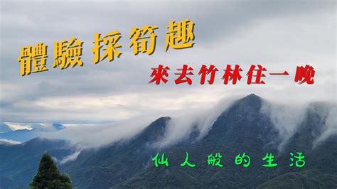 海王子【一想天開去旅行】竹子的故鄉鹿谷孟宗竹夢中竹來去竹林住一晚雲霧裊繞的人間仙境體驗採筍煮筍的樂趣 Youtube