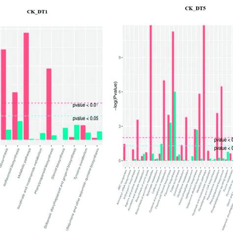 Kegg Enrichment Analysis P Value Histogram Gene Represents