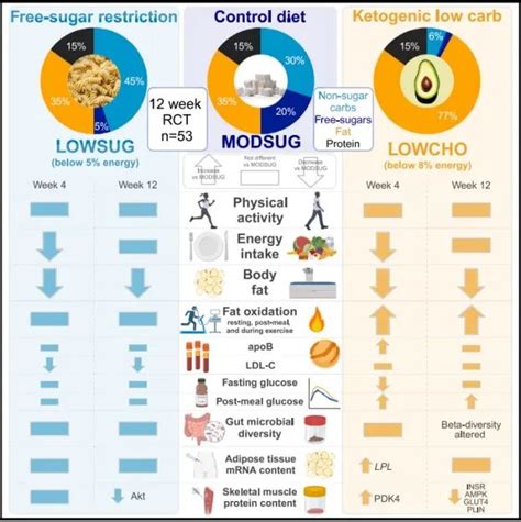 Cell Reports Medicine Medsci Cn