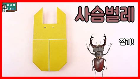 종이접기 사슴벌레접기 Youtube