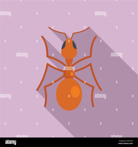 Queen Ant Stock Vector Images Alamy