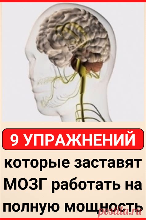 9 кинезиологических упражнений, которые заставят мозг работать на пол ...