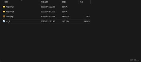 web安全之文件上传 对网站进行文件上传 获取网站webshell 分析数据库内容 拿到flag csdn博客