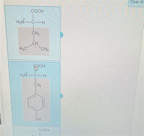 Solved COOH H₂N C H H C CH₂ CH CH GOOH H₂N C H CH₂ OH COOH Chegg com