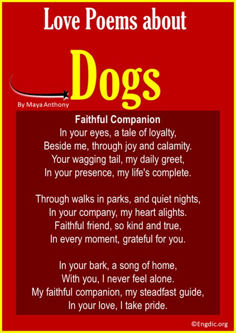 10 Best Love Poems About Dogs Engdic