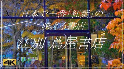 4K日本で一番紅葉の映える書店 江別 蔦屋書店 YouTube