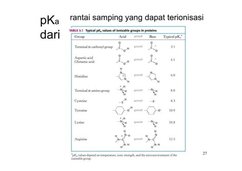 Struktur Dan Fungsi Protein Ppt