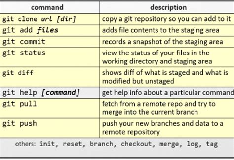 Understanding Git And Github Race