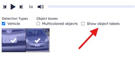 View Options Sighthound Redactor Documentation
