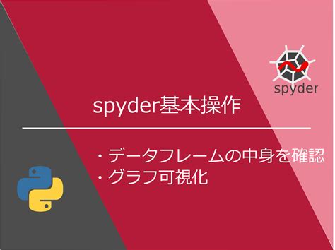 Python Spyder Mickey S Life