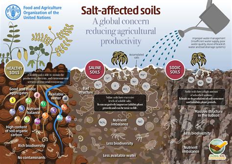 Shifting Soils Warren Co Swcd