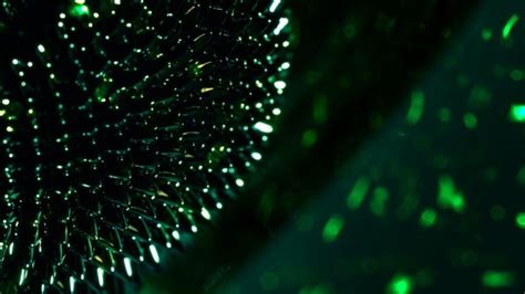 Exploring The Wonders Of Linuxia A Comprehensive Guide