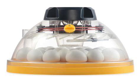 Brinsea Maxi II Eco Hens Eggs