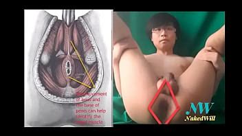 Nakedwill Nude Demo Kegel Exercise For ED Incontinence And Better Sex XVIDEOS
