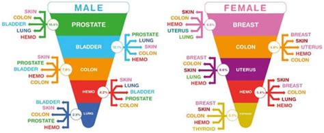 Ijerph Free Full Text Cancer Prevention For Survivors Incidence Of Second Primary Cancers Ijerph Free Full Text Cancer Prevention For Survivors Incidence Of Second Primary Cancers