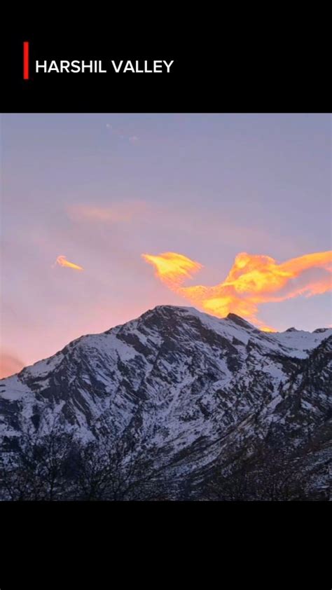 Anirudhbahuguna • Instagram Photos And Videos