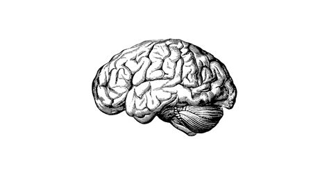 Differences Between Machine Reading And Human Reading In Seo