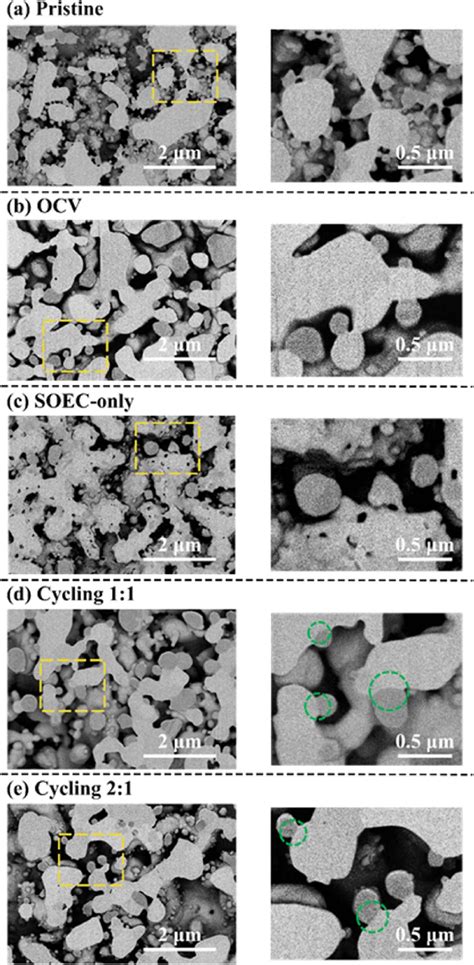 Sem Images Acquired By The Bse Detector Of Ni 09 Co 01 Sdc Sem Images Acquired By The Bse Detector Of Ni 09 Co 01 Sdc