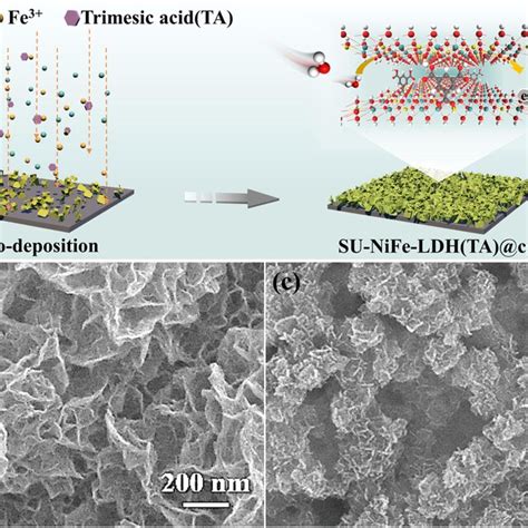 XPS Measurements High Resolution XPS Spectra Of A Ni 2p B Fe 2p Download Scientific