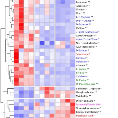 Heatmap Plot Identifying Significant Difference P