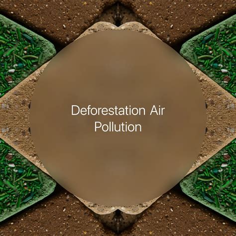 Deforestation Air Pollution → Term