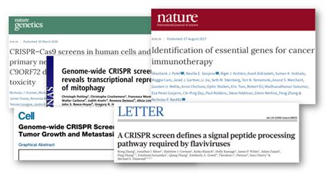 Everything You Need To Know About Crispr Library Screening