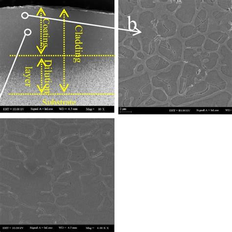 the sem of longitudinal sectional microstructure of cladding layer a