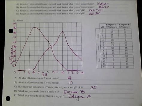 Unit 3 Cell Structure Function Biology With Ms Raynor