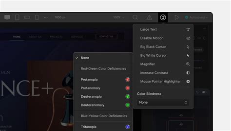Accessibility Droip Documentation
