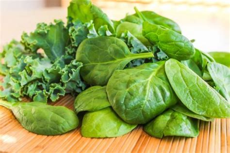 Manger des légumes verts préserve la santé mentale Docteur Nature