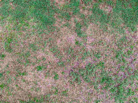 14 Ways To Manage Stormwater Runoff