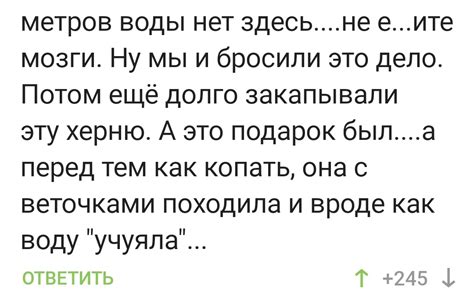 Подарочек от тещи | Пикабу