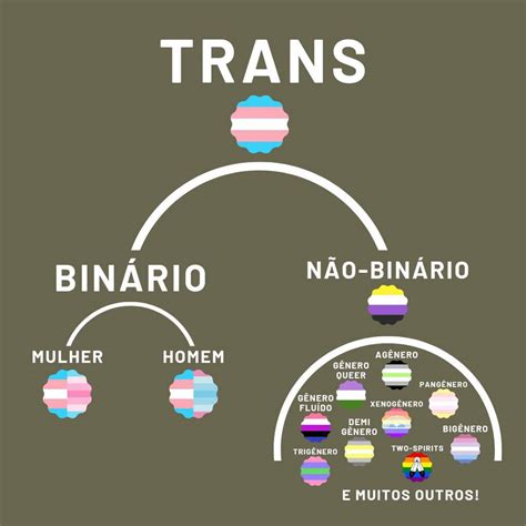 Qual A Diferença Entre Gênero E Sexo ⠀lgbt™ Amino