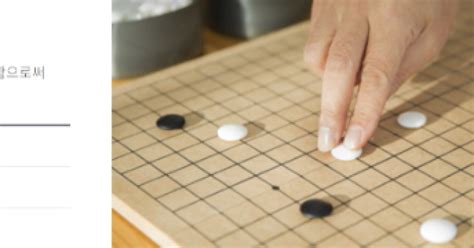 결국 법정行 세계 유일 명지대 바둑학과 폐과 후폭풍