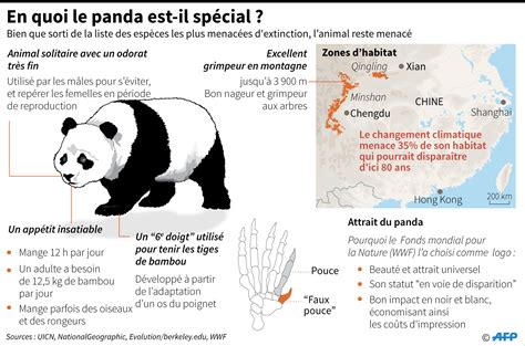 La Chine Rappelle Que Les Pandas Restent En Sursis