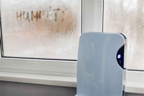 Dehumidifiers For Windows How To Choose The Right One For Your Home