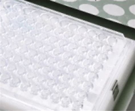 Beckman Coulter Cytoflex Flow Cytometer At Best Price In Mumbai