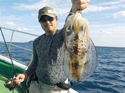 良型揃いで！ 釣果情報 エギング船—ティップランのできる久勝丸！三重・紀伊長島の釣り船
